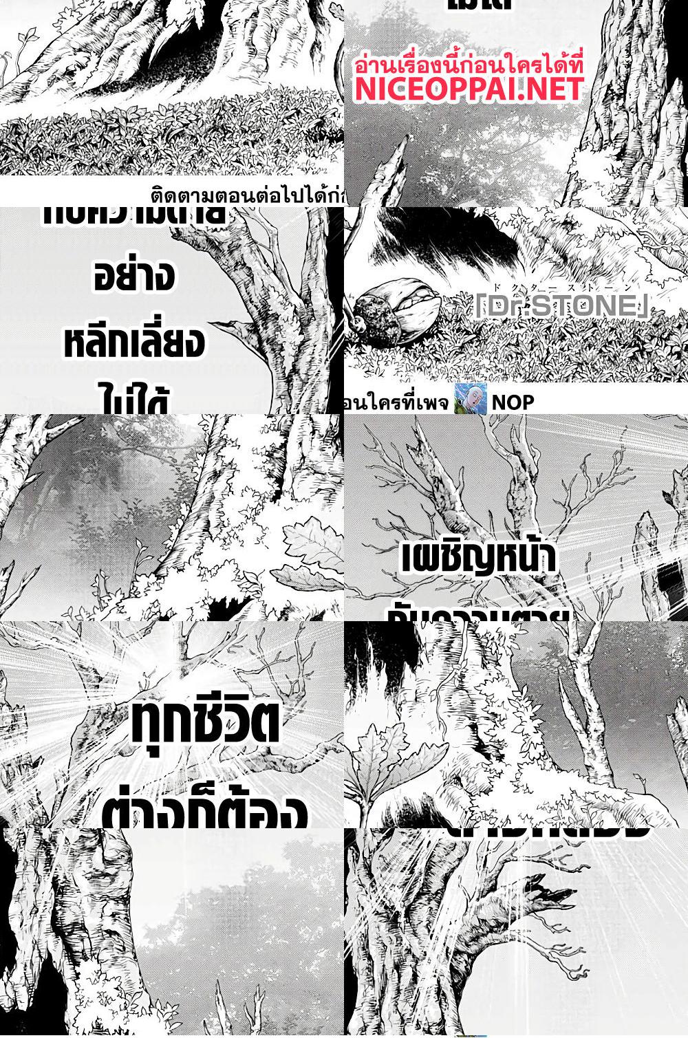 อ่าน Dr.Stone ตอนที่ 230 HUMAN TH แปลไทย - Niceoppai